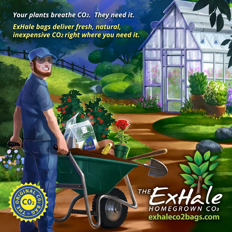 Exhale Homegrown CO2 365 - Self-activated Bag for Grow Rooms & Tents ...
