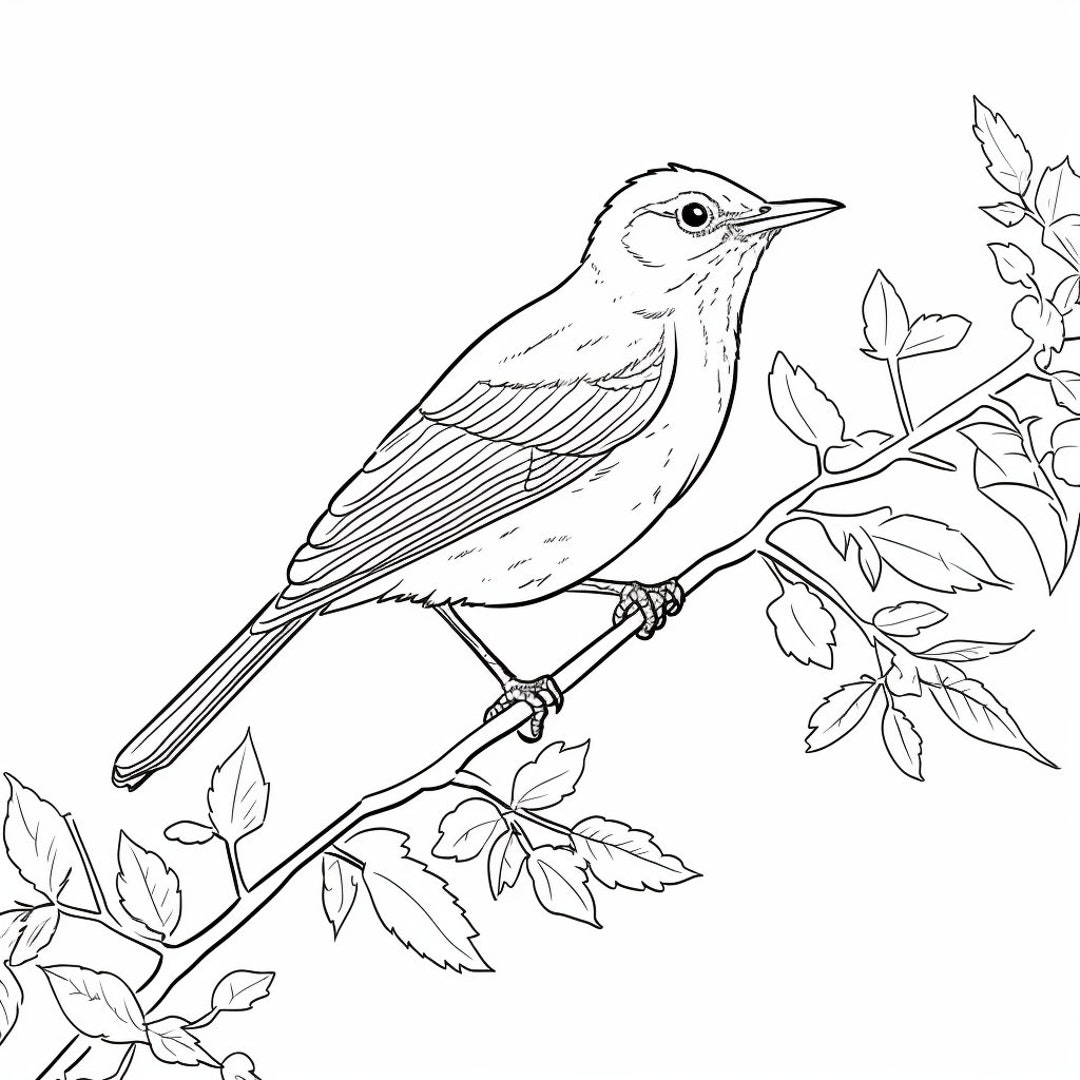 Bird Digital Line Drawing Artwork Instant Download Digital Art ...