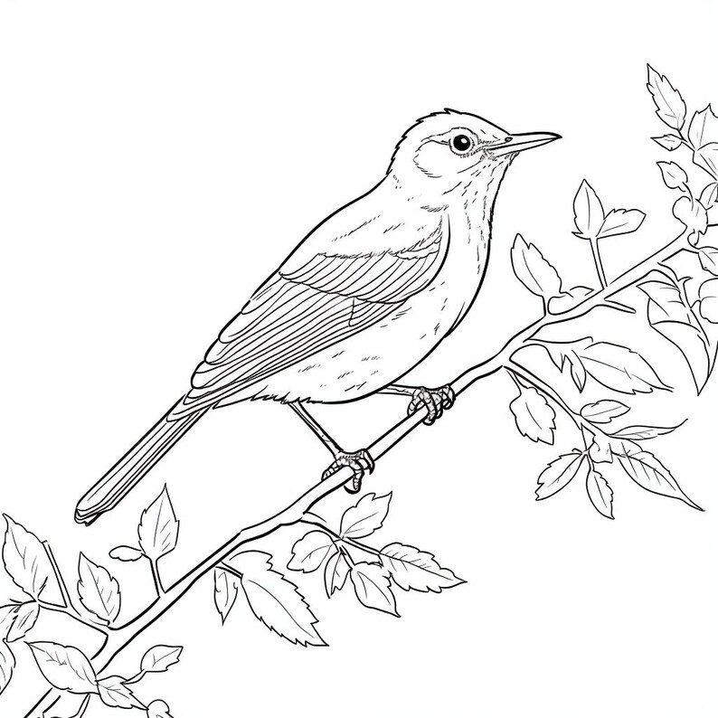 Bird Digital Line Drawing Artwork Instant Download Digital Art ...