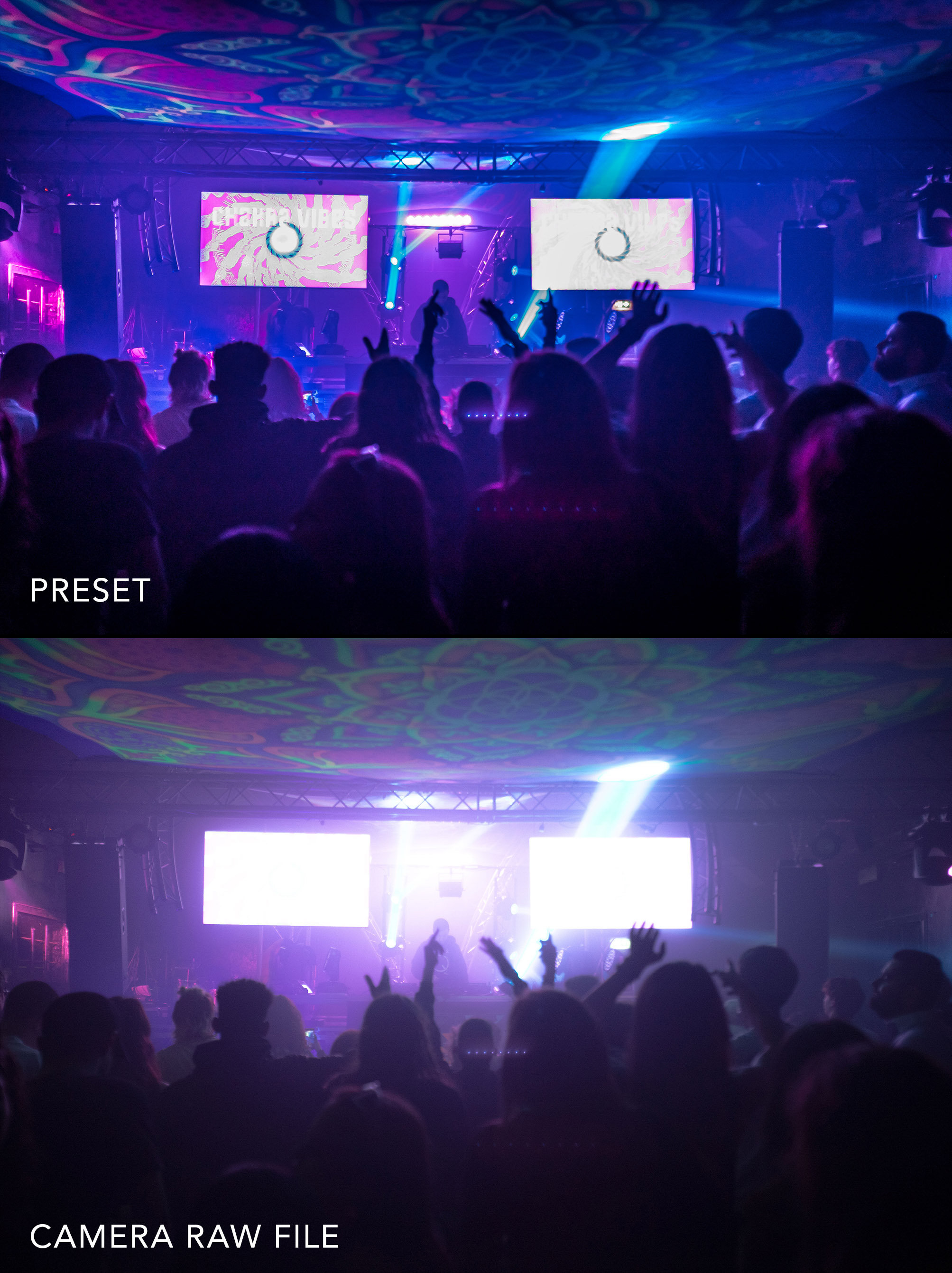 8 Professional Lightroom Presets for Concert, Night Club and Festival ...