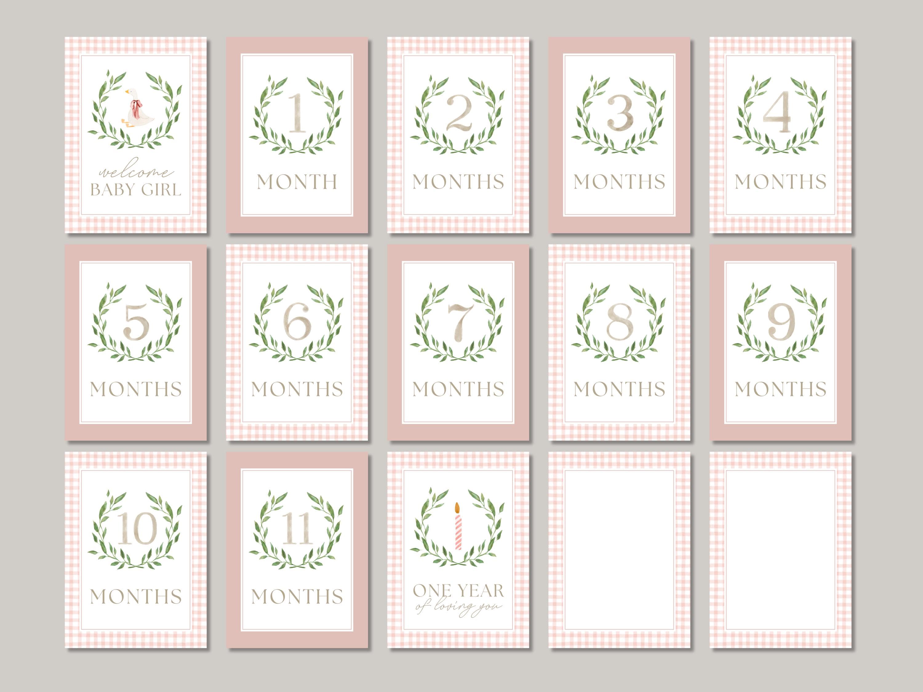Baby Girl Milestone Cards | Custom Set Available - Etsy