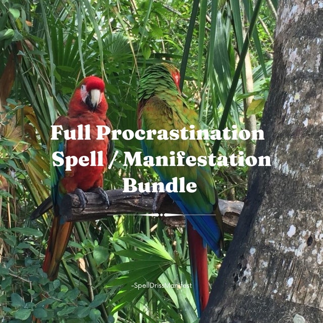 SpellDrissManifest - Etsy