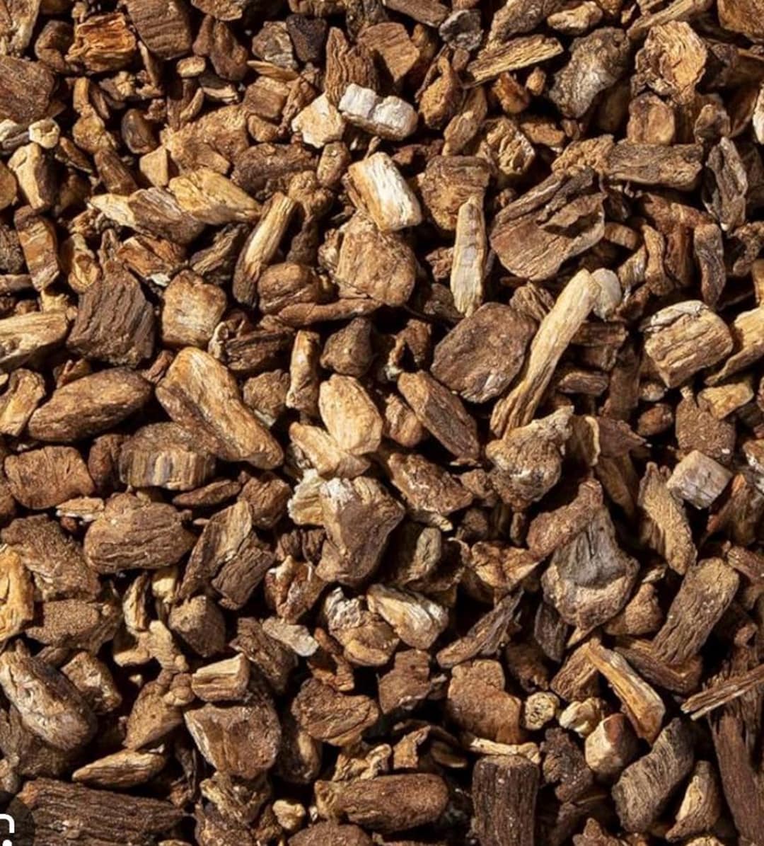 1 Oz Dried, Cut and Sifted Burdock Root - Etsy
