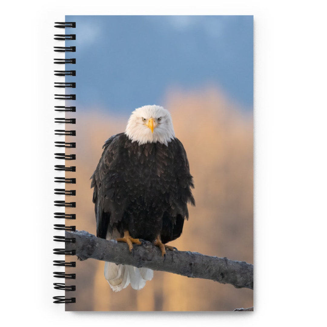 Bald Eagle Photo Spiral Notebook, Gift for Bird Lovers - Etsy