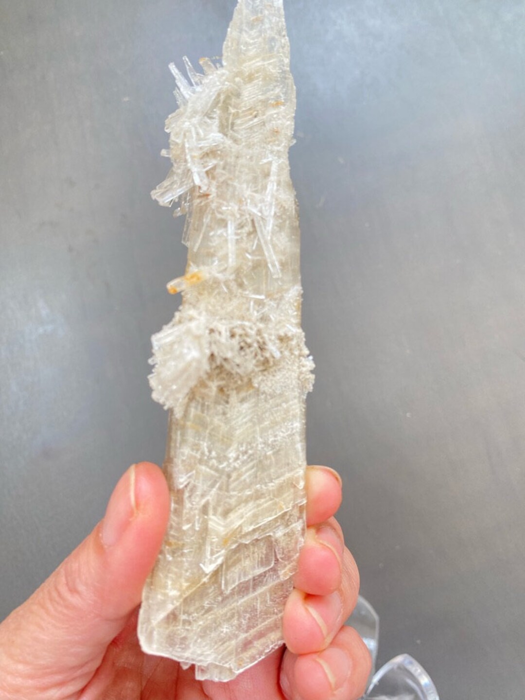 Rare Specimen of Fishtail Twin Selenite With Phantom Quartz - Etsy