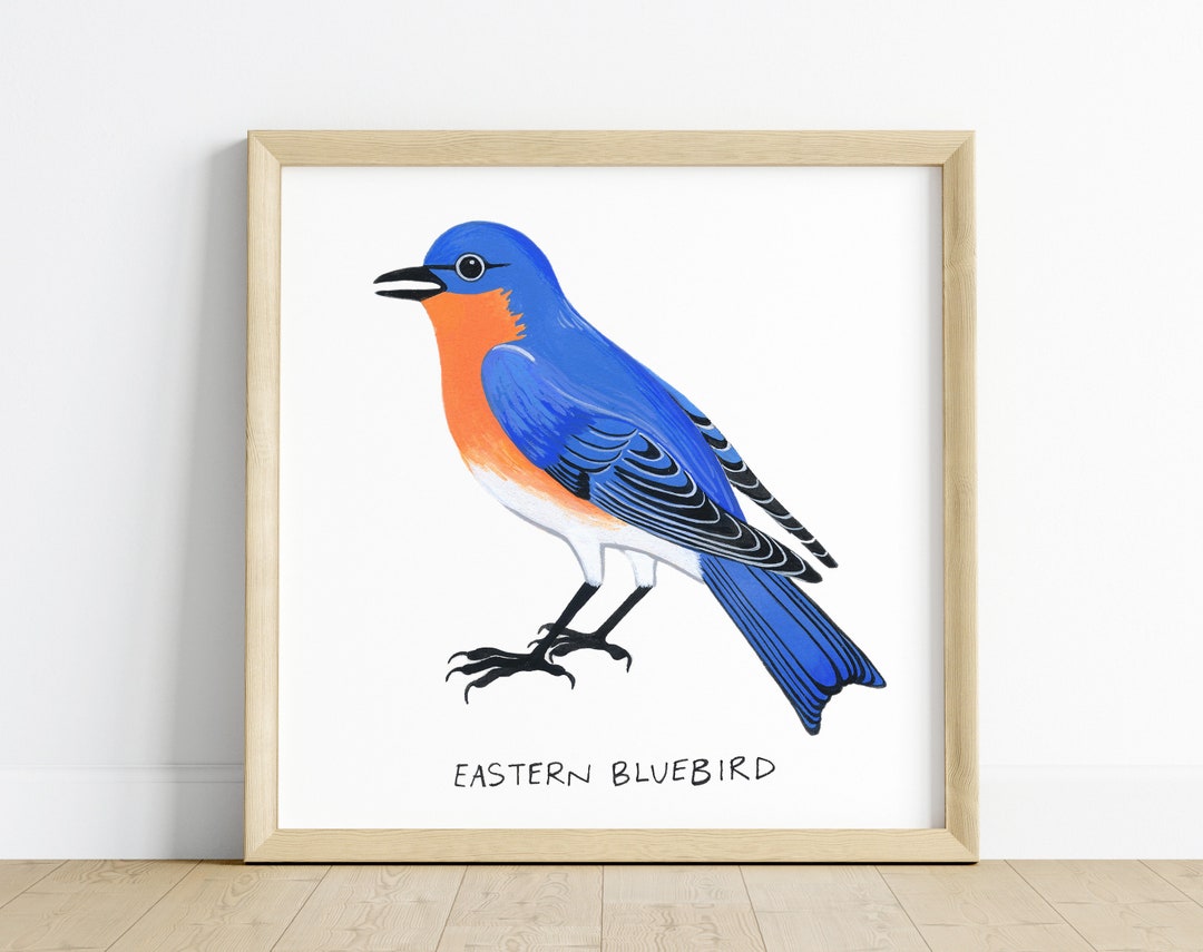 Eastern Bluebird Print, Digital Download Print, Nursery Art Print, Bird ...