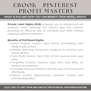 Pinterest Marketing Guide: PLR MRR Workbook for Business Growth (digital Download) - Etsy