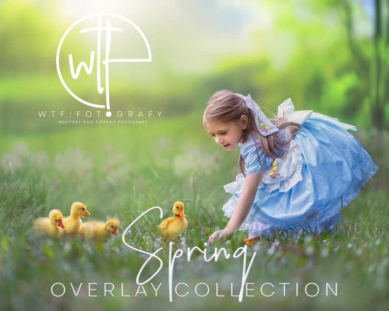 Wtfotografy the SPRING OVERLAY Collection 82 Items 39 - Etsy