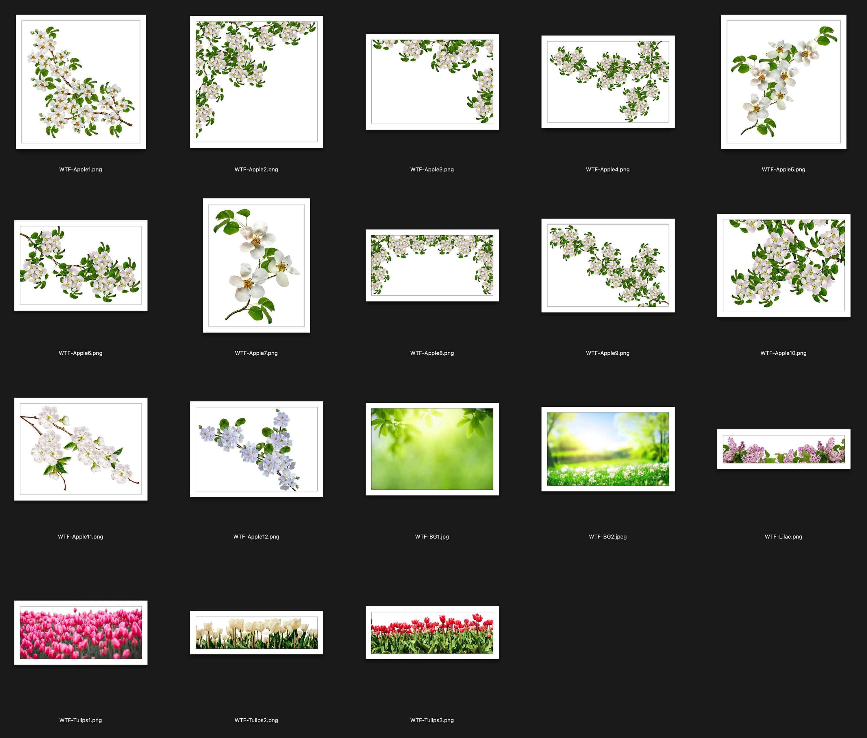 Wtfotografy - the SPRING OVERLAY Collection - 82 Items! 39 Animal, 16 ...