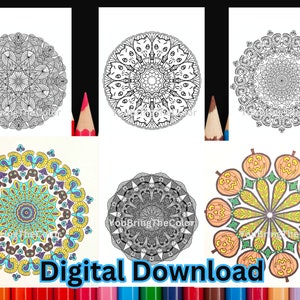 40 Intricate Patterns Coloring Pages Whimsical Mandalas Coloring Book ...