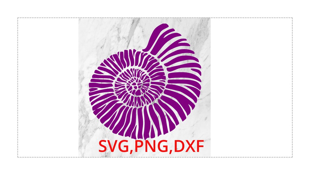 Ammonite Fossil SVG DXF PDF File Ancient Life Dinosaur T-shirt Decal ...