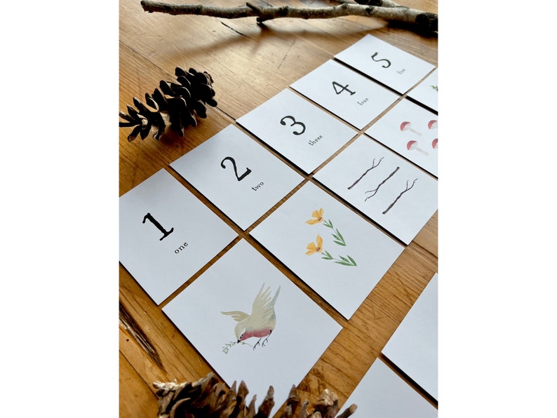 Nature Math Game Printable Counting Activity Number - Etsy