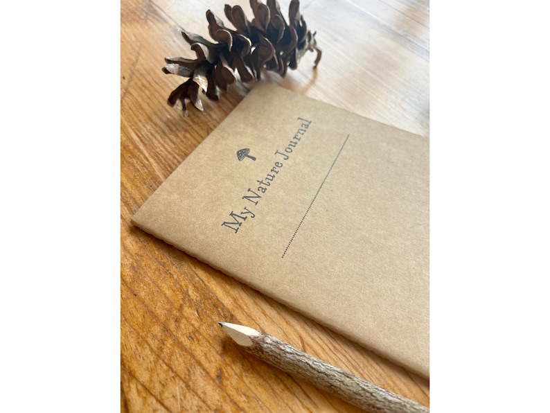 Nature Journal for Kids Charlotte Mason Nature Study Sketchbook ...