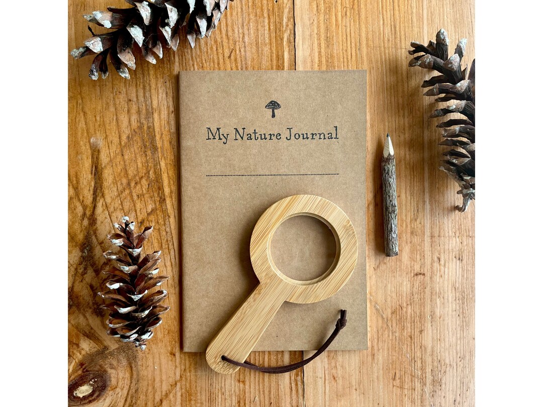 Nature Journal for Kids Charlotte Mason Nature Study Sketchbook ...