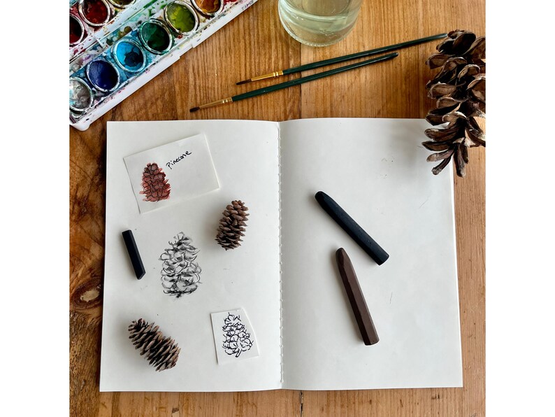 Nature Journal for Kids Charlotte Mason Nature Study Sketchbook ...