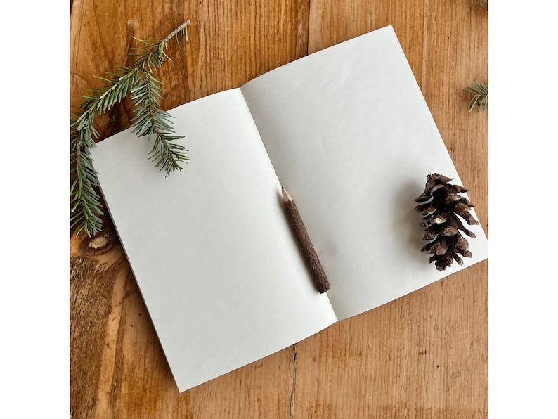 Nature Journal for Kids Charlotte Mason Nature Study Sketchbook ...