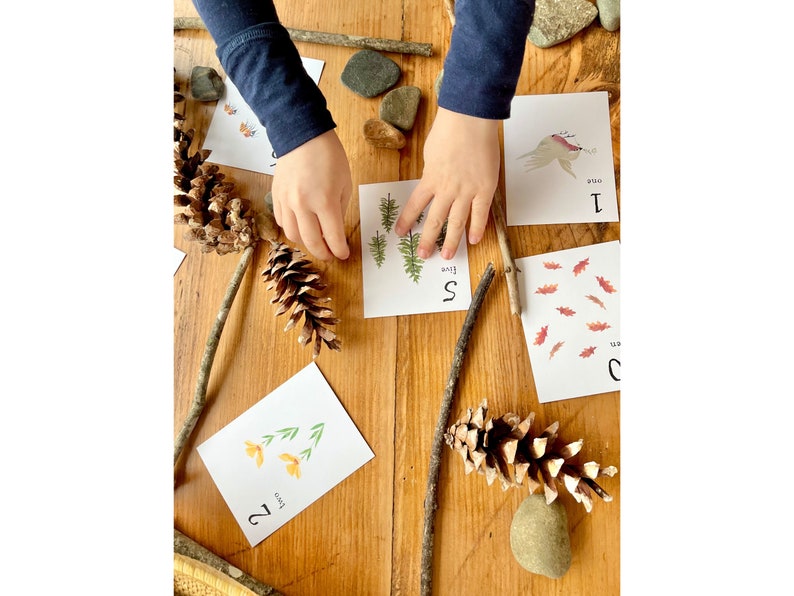 Nature Number Cards 1-10 Printable Counting Cards - Etsy