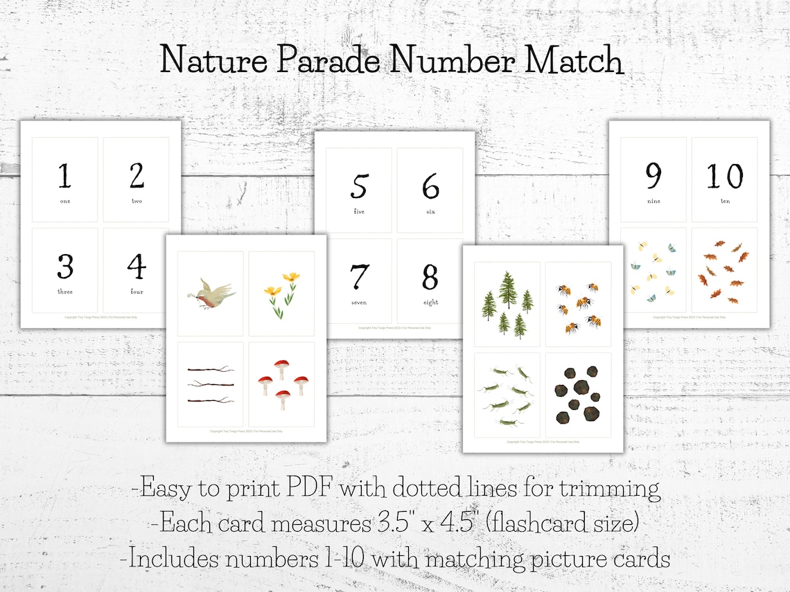 Nature Math Game PRINTABLE | Counting Activity | Number Matching Game ...