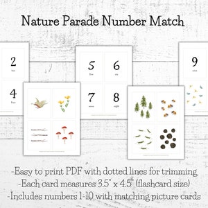 Nature Math Game PRINTABLE | Counting Activity | Number Matching Game ...