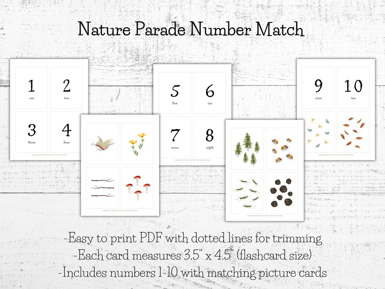 Nature Math Game Printable Counting Activity Number Matching Game ...
