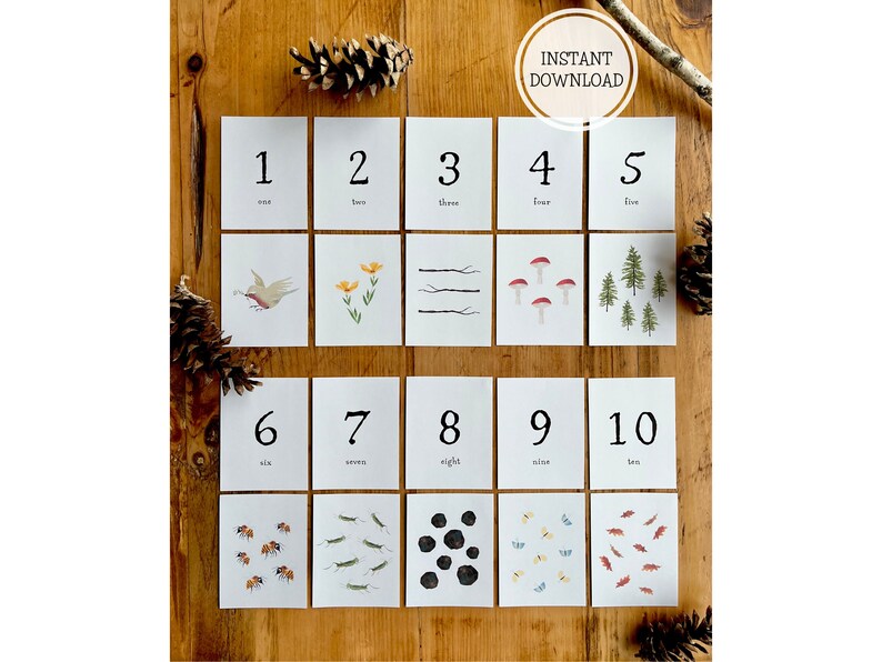 Nature Math Game Printable Counting Activity Number Matching Game ...