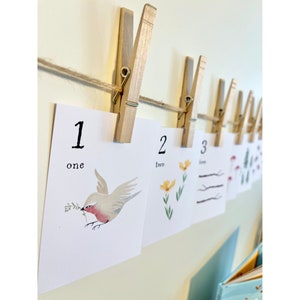 Nature Number Cards 1-10 PRINTABLE | Counting Cards | Montessori ...