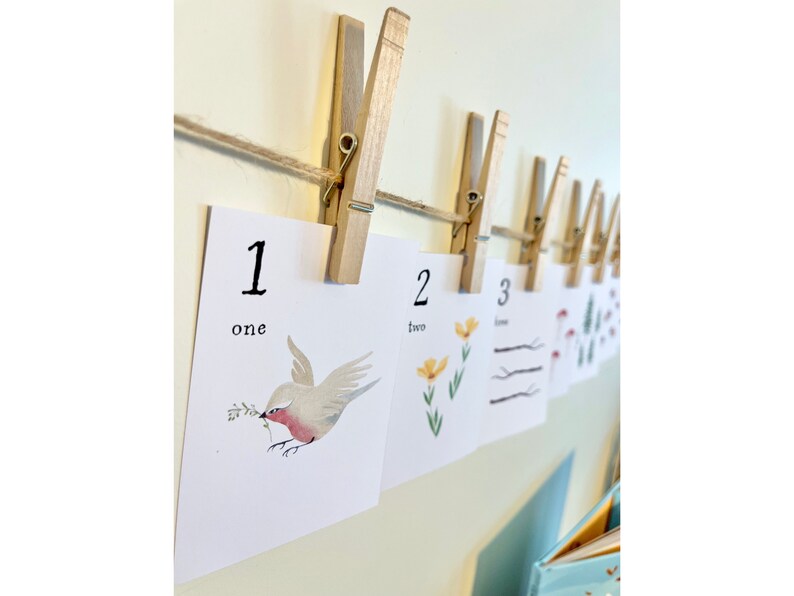 Nature Number Cards 1-10 Printable Counting Cards - Etsy