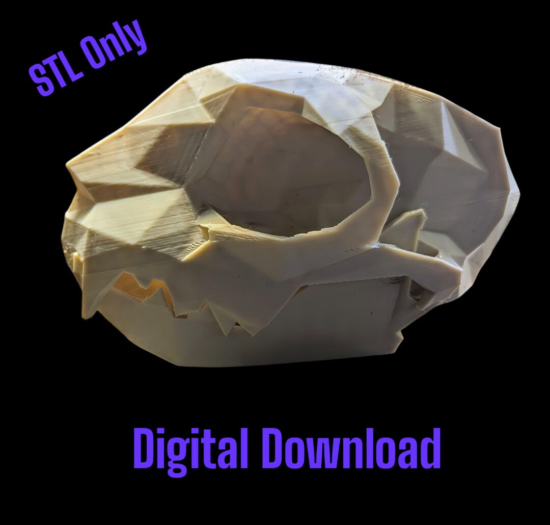 Cat Skull Digital Download STL File for 3D Printing - Etsy