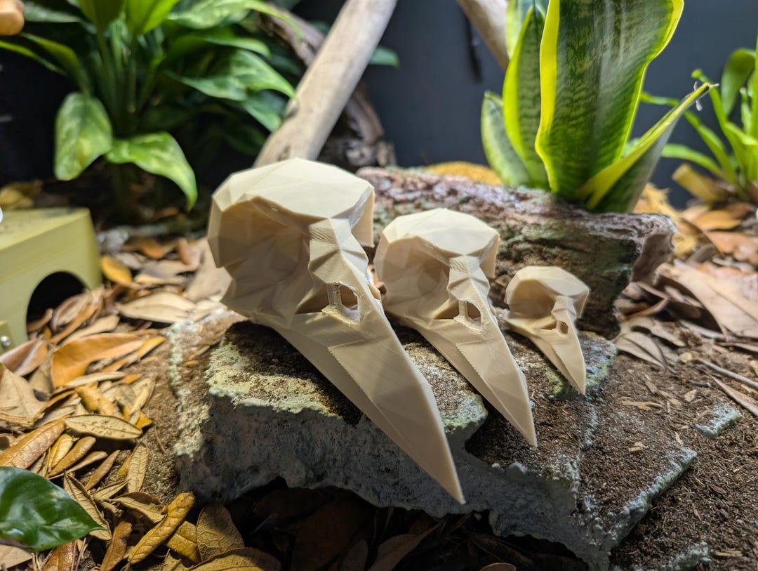 Low Poly Crow Skull Art - 3D Printed Replica for Terrariums or Bookcase ...