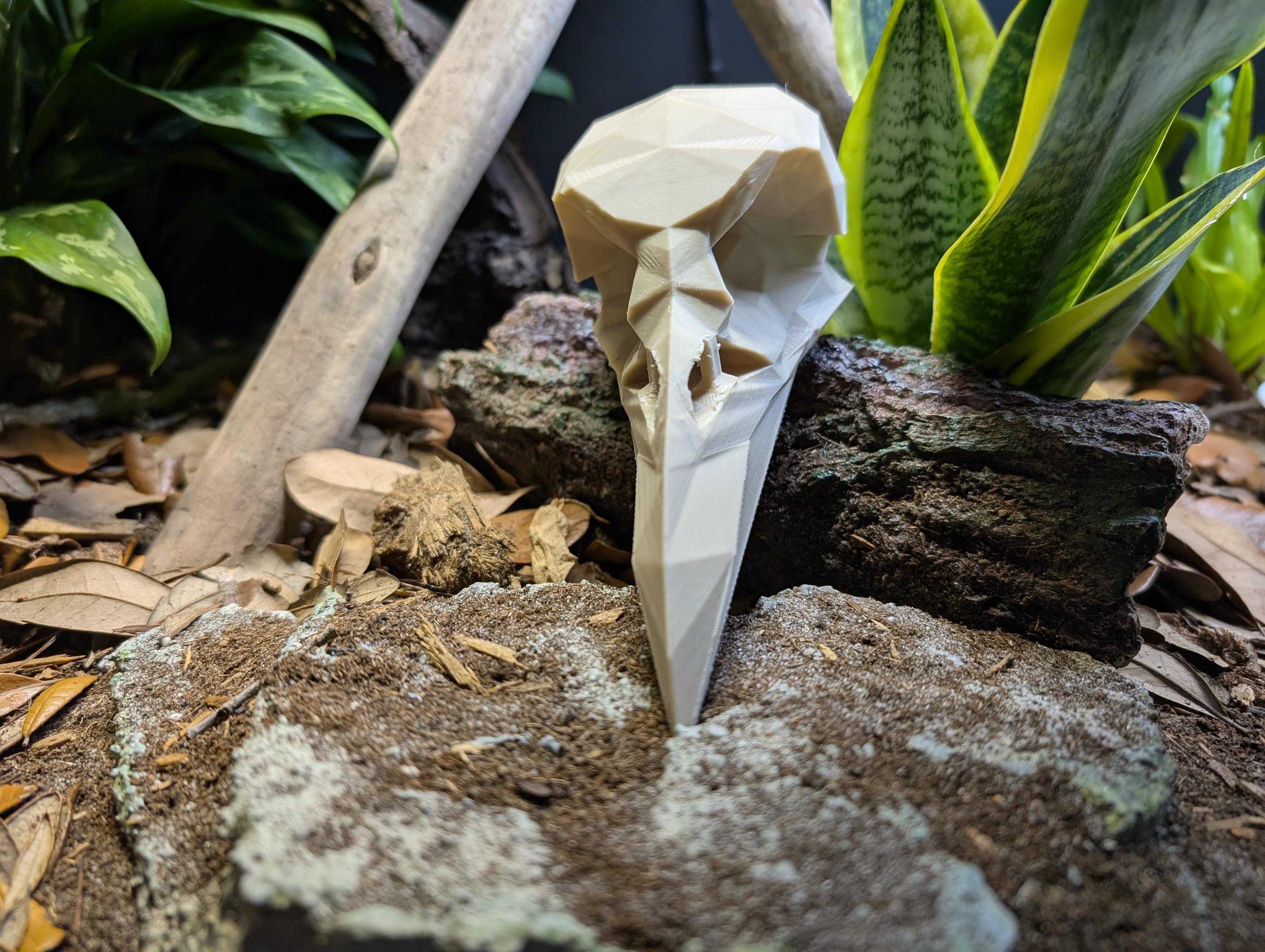 Low Poly Crow Skull Art - 3D Printed Replica for Terrariums or Bookcase ...