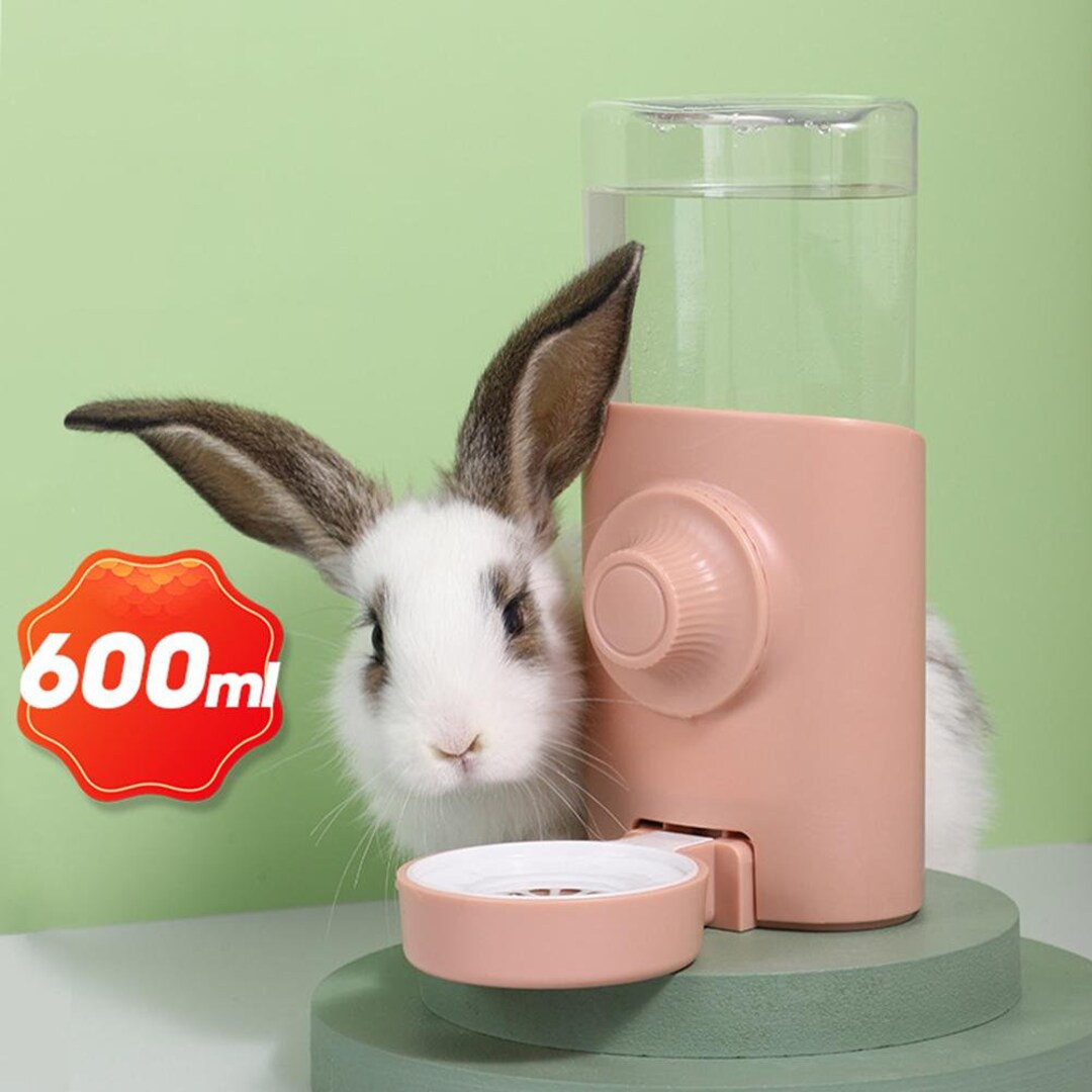 Rabbit Water Dispenser Automatic Large Capacity Siphon Feeding - Etsy