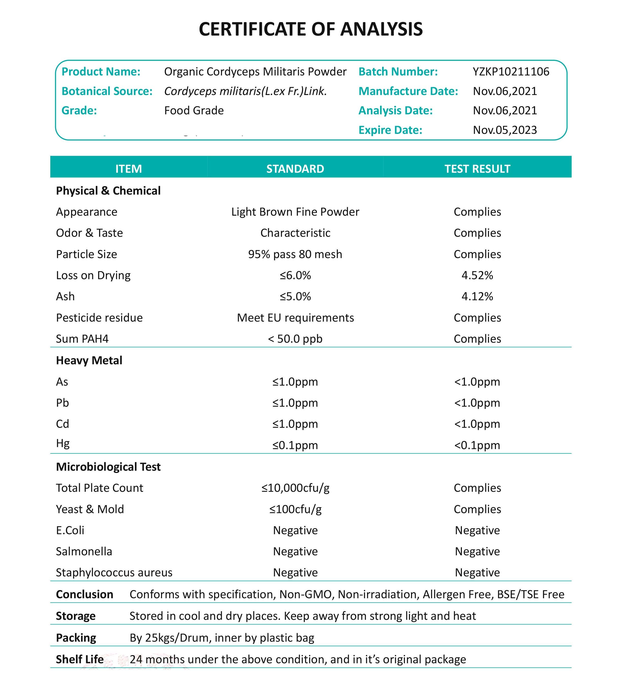 The Holy Quadrinity: Mushroom Capsules - Etsy