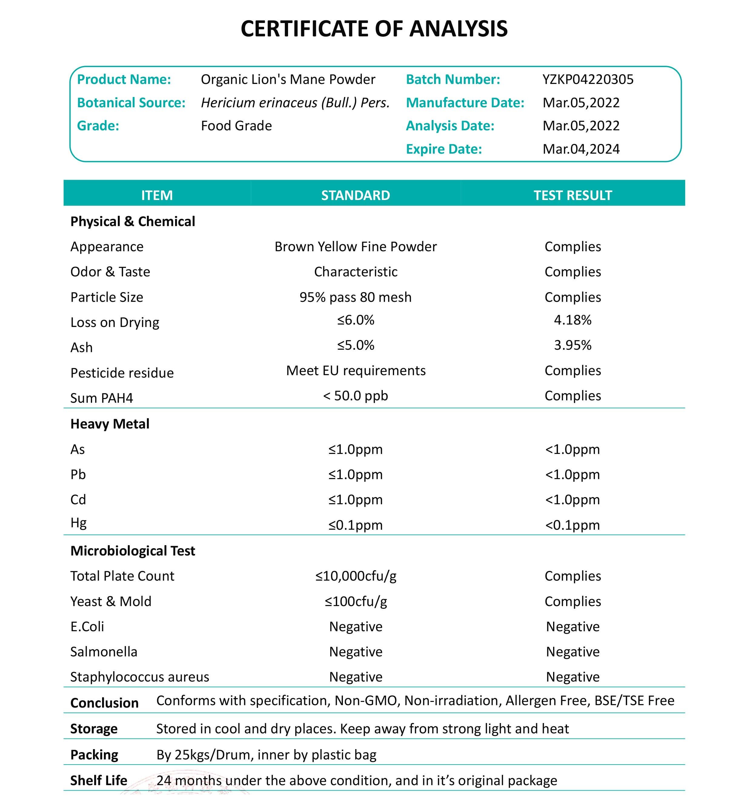 The Holy Quadrinity: Mushroom Capsules - Etsy