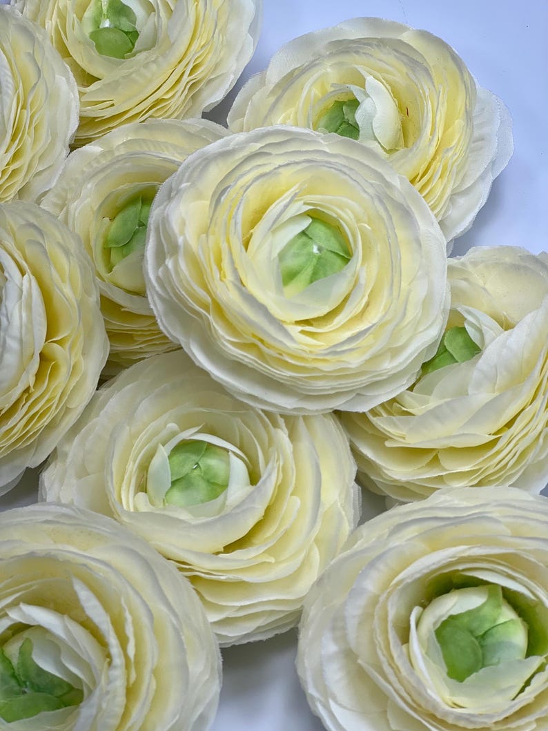 Cream Ranunculus Flower Heads Wedding Ivory Flowers Artificial DIY ...