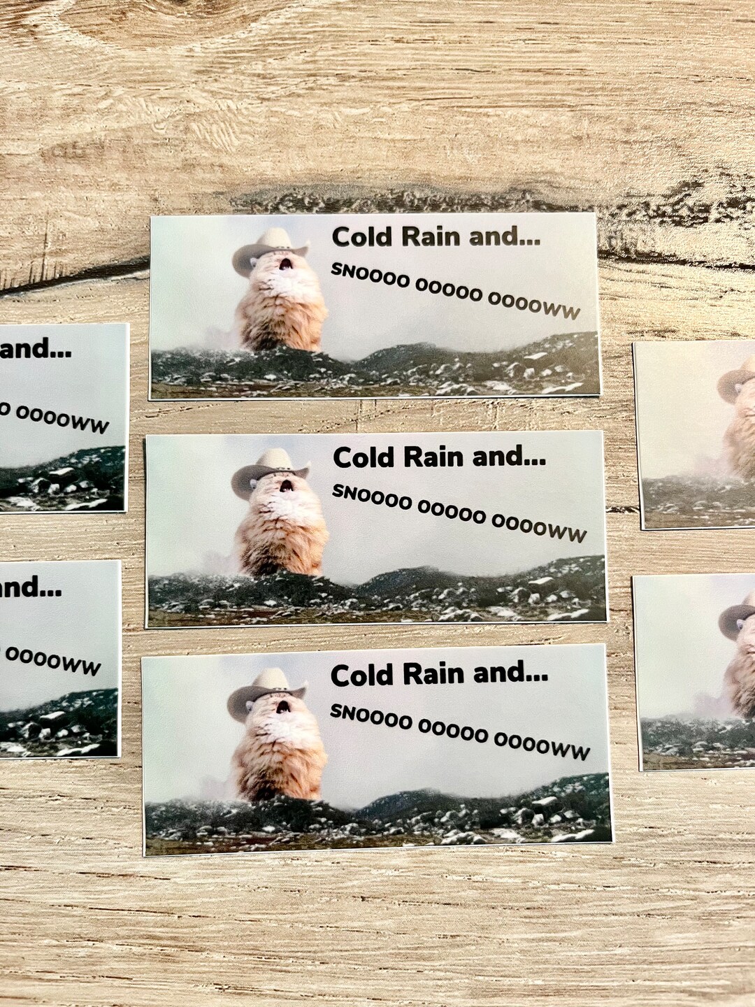 Cold Rain Cat 3" Sticker Vinyl/uv/water Resistant - Etsy