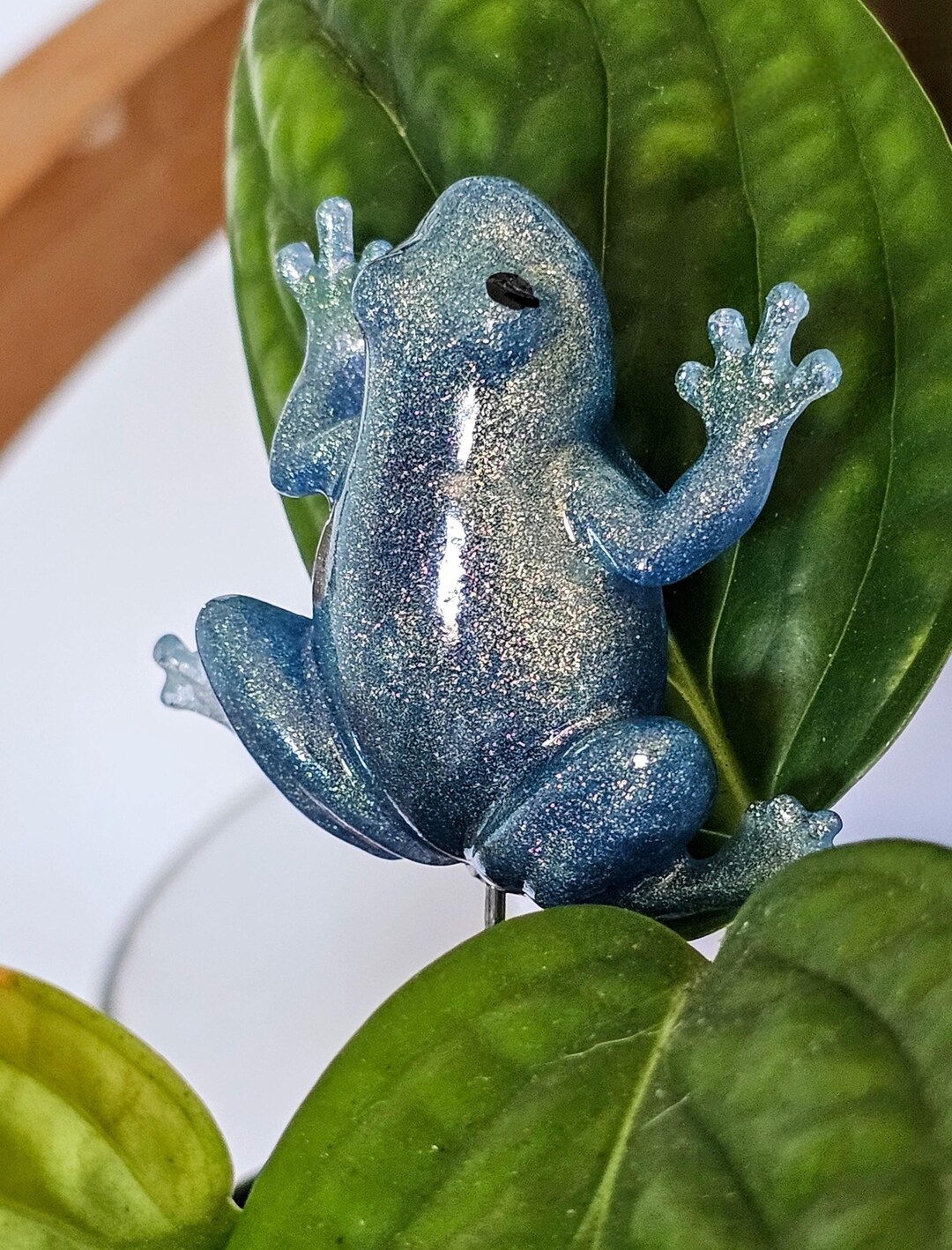 Tropical Frog Planter Pot Decorations - Etsy