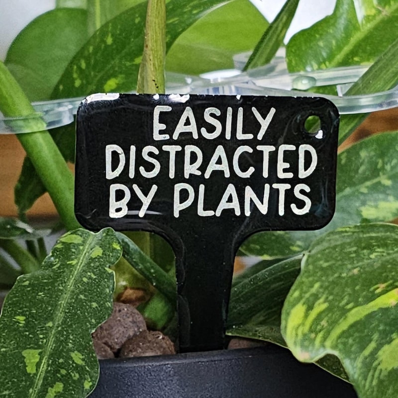 Plant Signs Funny - Etsy