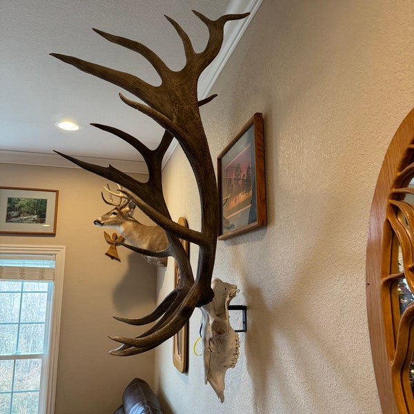 Elk Skull Hanger - Etsy
