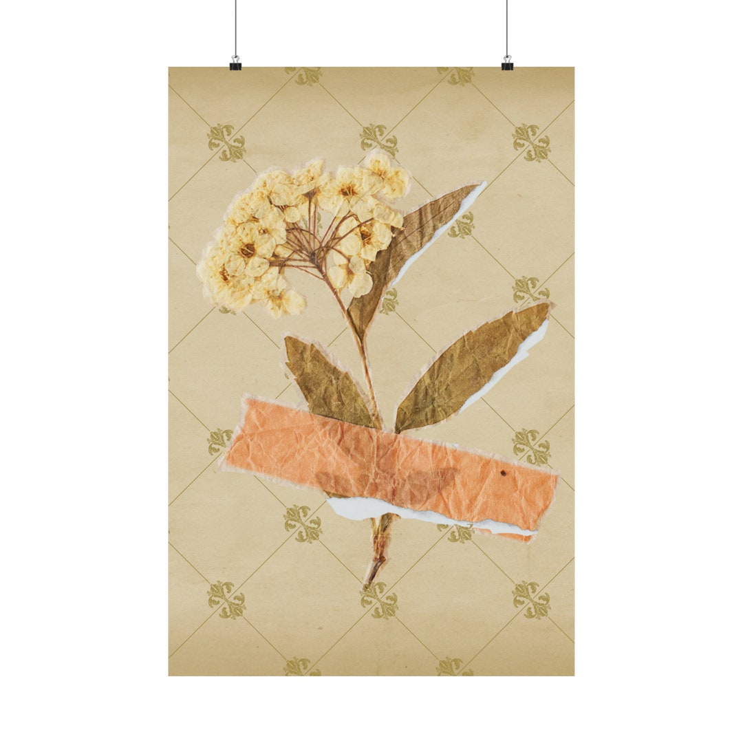Coquette Posters, Aesthetic Posters, Vintage Flowers, Posters, Wall Art ...