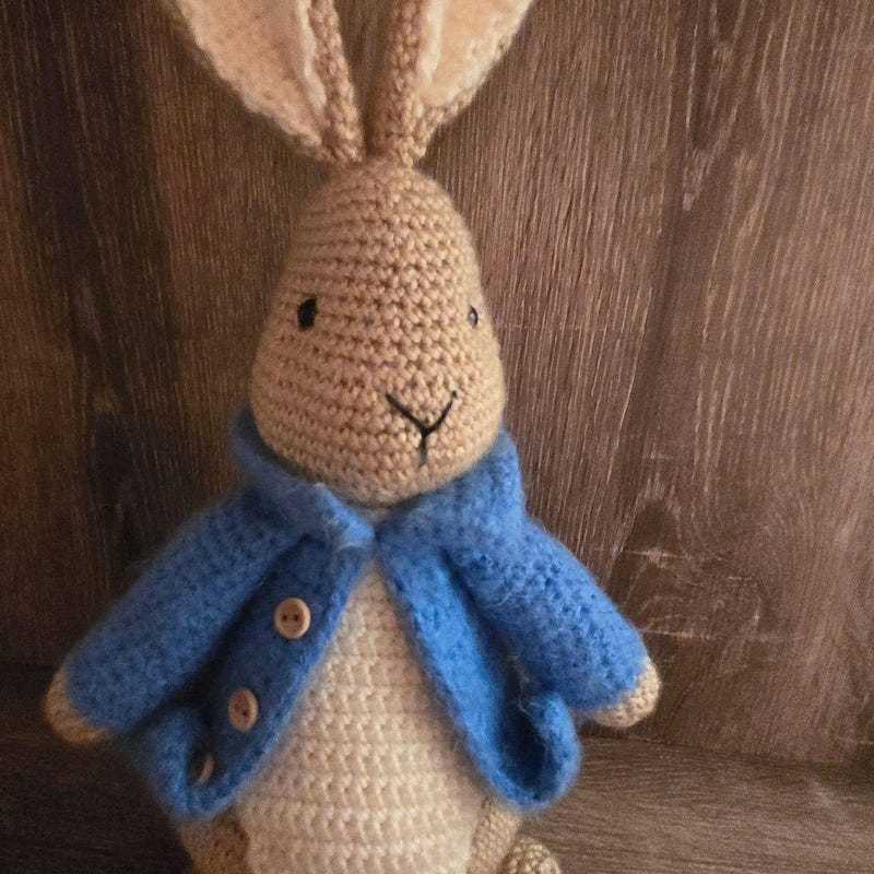 Peter Rabbit Pattern - Etsy