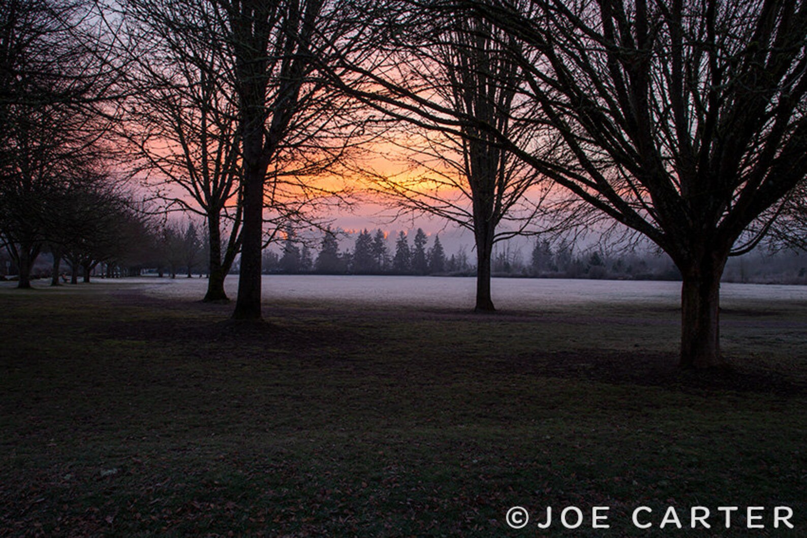 Home Décor Scenic Photograph of Salem Oregon Early Morning Minto Park ...