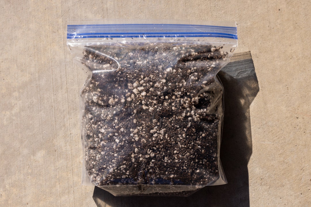 Pygmy Sundew Soil - 1 Quart - Etsy