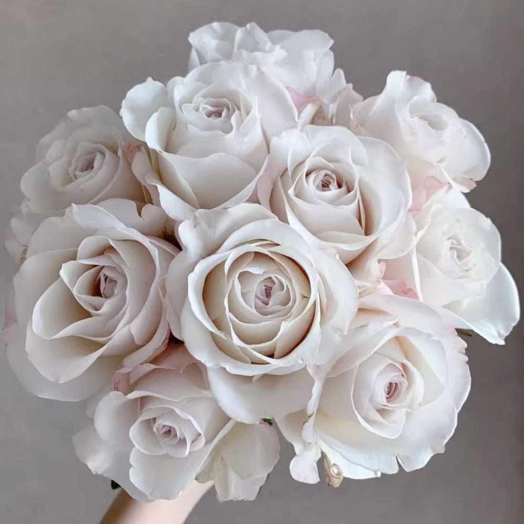 Rose Plant silver Lining 银色衬裙 - Etsy