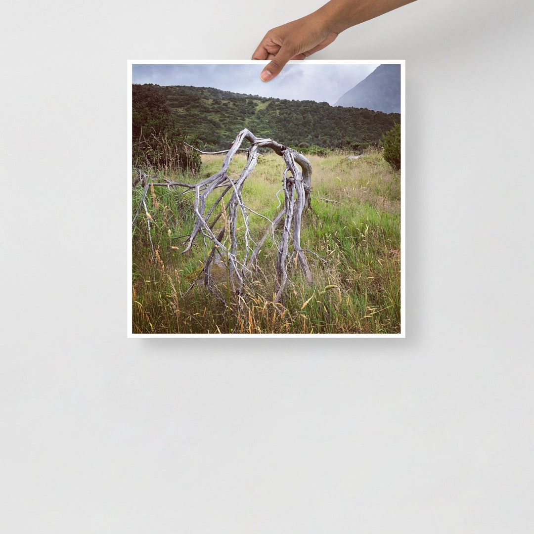 Outdoor Tree Photo Illustration, Wood Artwork, Mountain Art Print ...