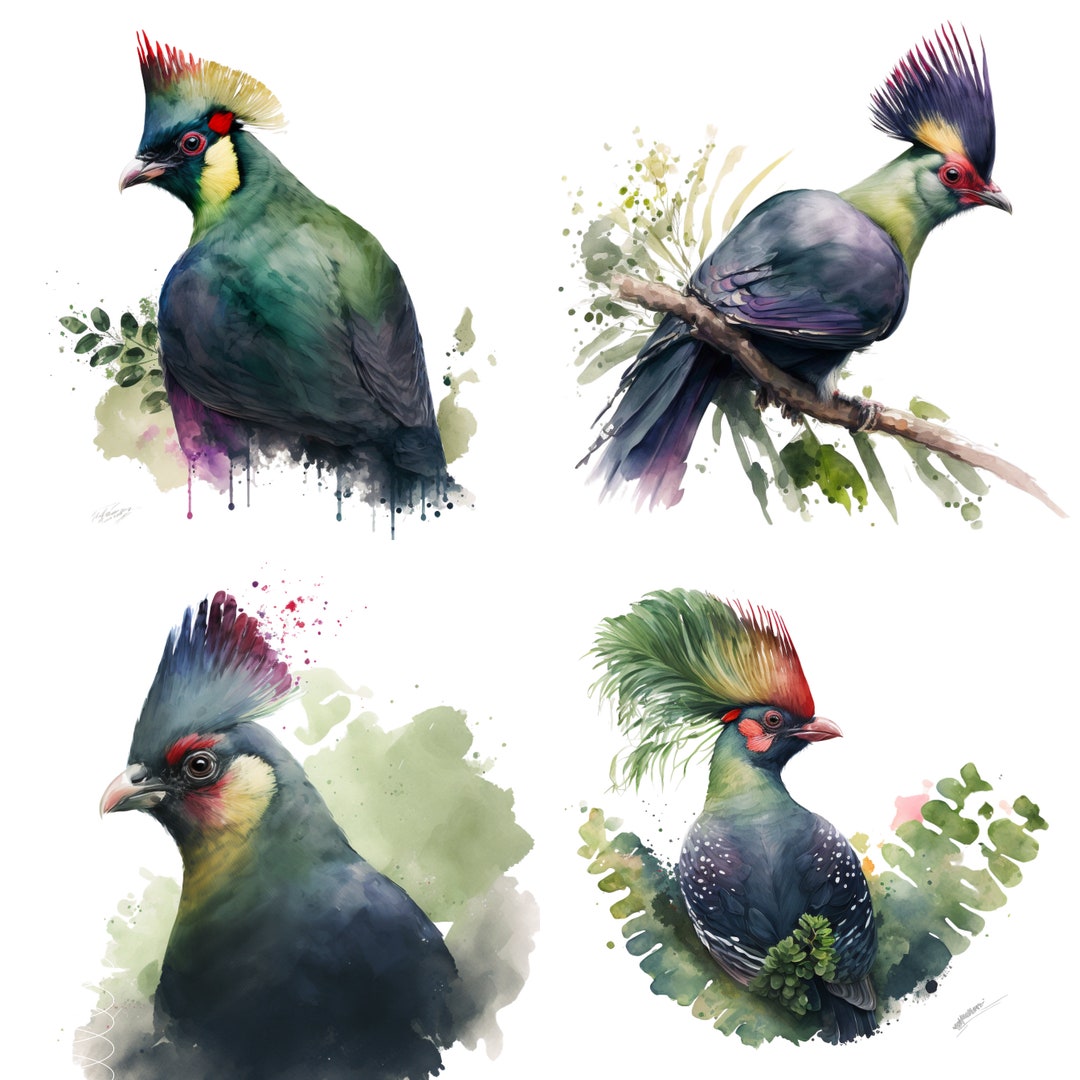 Turaco Watercolor, Digital Downloads, Turaco Clipart, Turaco PNG ...