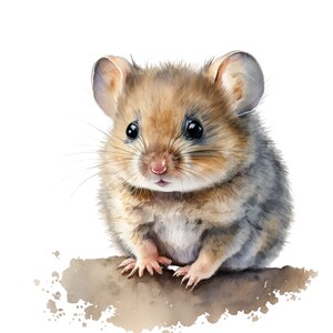 Cute Baby Mouse, Watercolor Cute Baby Mouse, Cute Baby Mouse Clipart ...