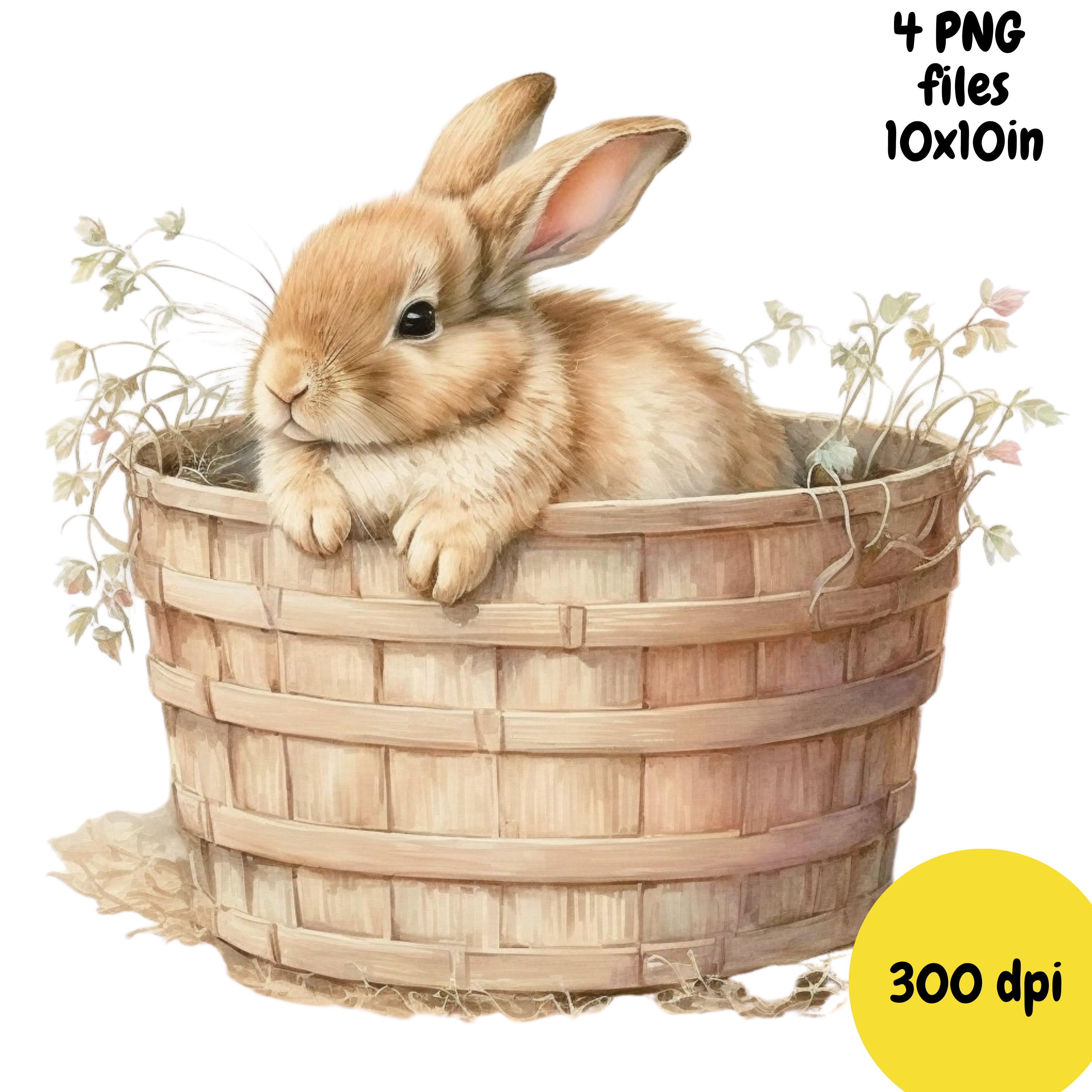 Easter Bunny in Basket Clipart Watercolor Bunny in Basket - Etsy