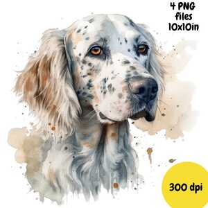 English Setter Art Print English Setter Watercolor Clipart - Etsy
