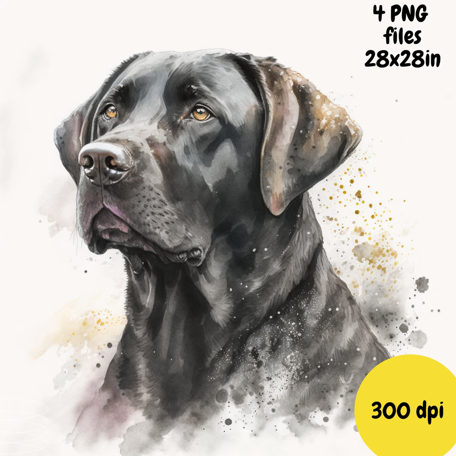 Black Labrador Art Print, Black Labrador Print,black Labrador ...