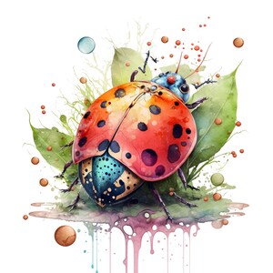 Ladybug Watercolor Clipart Illustration PNG - Etsy Canada